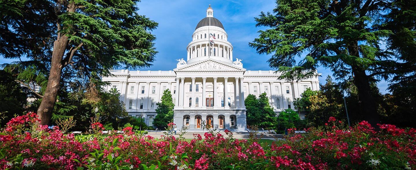 How State Licensing Boards Are Processing More — and Faster