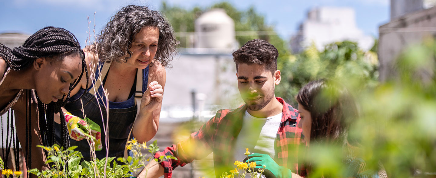 Community Visioning: How to Capture Community Aspirations