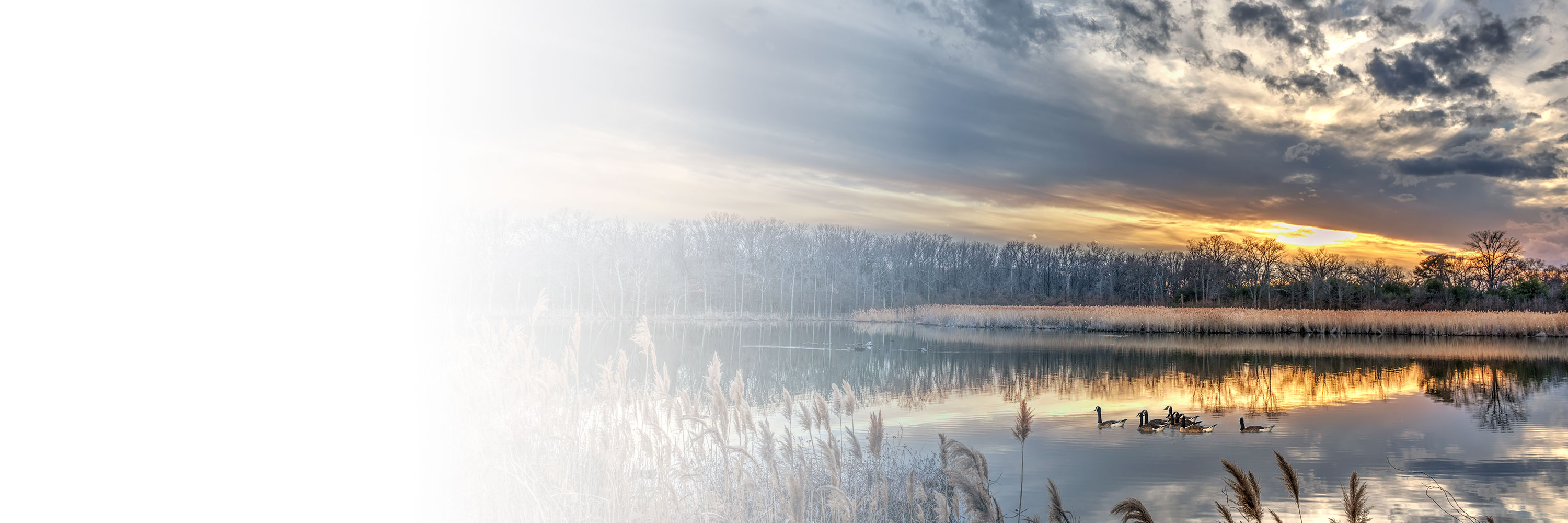 Granicus | Technology Built to Empower Government Organizations